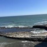 Old Cove Landing Trail, California - 3,876 Reviews, Map | AllTrails