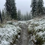 Sperry Chalet, Montana - 621 Reviews, Map | AllTrails