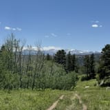 Disappointment Falls via Lady Moon Trail, Colorado - 843 Reviews, Map ...