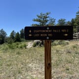 Disappointment Falls via Lady Moon Trail, Colorado - 843 Reviews, Map ...