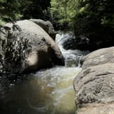 Disappointment Falls via Lady Moon Trail, Colorado - 843 Reviews, Map ...