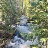 Spruce Creek Loop, Colorado - 1,648 Reviews, Map | AllTrails