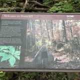 Ferncliff Trail, Pennsylvania - 1,514 Reviews, Map | AllTrails