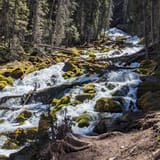 Karst Spring Trail, Alberta, Canada - 907 Reviews, Map | AllTrails