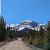 Karst Spring Trail, Alberta, Canada - 907 Reviews, Map | AllTrails