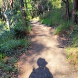 Mount Beerburrum Walking Track, Queensland, Australia - 581 Reviews ...