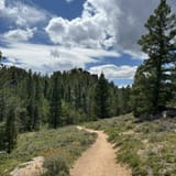 Turtle Rock Loop Trail, Wyoming - 1,323 Reviews, Map | AllTrails