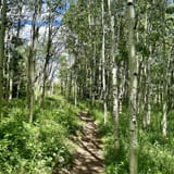 Turtle Rock Loop Trail, Wyoming - 1,323 Reviews, Map | AllTrails