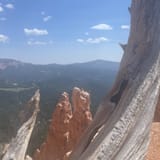 Twisted Forest, Utah - 158 Reviews, Map | AllTrails