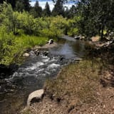 Sagehen Creek Loop, California - 1,097 Reviews, Map | AllTrails