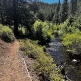 Sagehen Creek Loop, California - 1,097 Reviews, Map | AllTrails