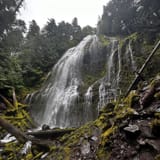 Proxy Falls Loop, Oregon - 1,230 Reviews, Map | AllTrails