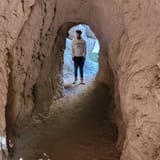 Moses Spring Trail to Bear Gulch Reservoir, California - 937 Reviews ...