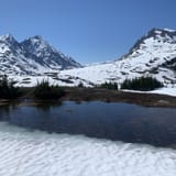Lost Lake via Primrose Trail, Alaska - 255 Reviews, Map | AllTrails