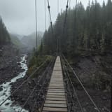 Tahoma Creek Suspension Bridge, Washington - 118 Reviews, Map | AllTrails