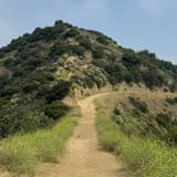 Brush Canyon Trail and Mount Bell Loop, California - 374 Reviews, Map ...