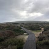 Quinninup Falls Track, Western Australia, Australia - 307 Reviews, Map ...