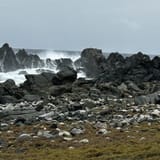 Daimari - Conchi Natural Pool, Aruba, Aruba - 129 Reviews, Map | AllTrails