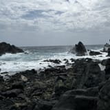 Daimari - Conchi Natural Pool, Aruba, Aruba - 129 Reviews, Map | AllTrails