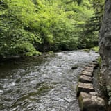 Chee Dale Gorge Circular, Derbyshire, England - 1,608 Reviews, Map ...