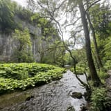 Chee Dale Gorge Circular, Derbyshire, England - 1,608 Reviews, Map ...