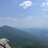 Sharp Top Trail, Virginia - 2,987 Reviews, Map | AllTrails