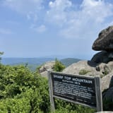 Sharp Top Trail, Virginia - 2,987 Reviews, Map | AllTrails