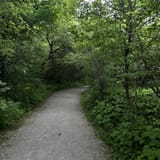 Oak Ridges Moraine Walk, Ontario, Canada - 638 Reviews, Map | AllTrails