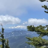 Bandera Mountain Summit, Washington - 1,544 Reviews, Map | AllTrails