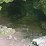 Greer Spring Trail, Missouri - 314 Reviews, Map | AllTrails