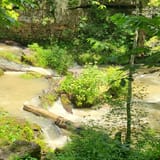 Greer Spring Trail, Missouri - 338 Reviews, Map | AllTrails