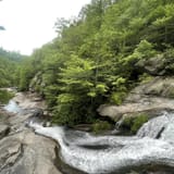 Lost Cove Loop Trail (262), North Carolina - 145 Reviews, Map | AllTrails