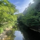 Pennypack Trail, Pennsylvania - 714 Reviews, Map | AllTrails