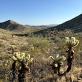 Dixie Summit Trail, Arizona - 1,534 Reviews, Map | AllTrails