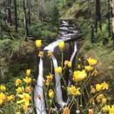 Oneonta Trail, Oregon - 724 Reviews, Map | AllTrails