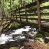 Oneonta Trail, Oregon - 724 Reviews, Map | AllTrails