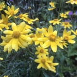Oneonta Trail, Oregon - 724 Reviews, Map | AllTrails