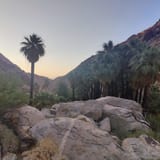 Borrego Palm Canyon, California - 3,154 Reviews, Map | AllTrails