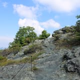 Buffalo Mountain Trail, Virginia - 758 Reviews, Map | AllTrails