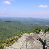Buffalo Mountain Trail, Virginia - 758 Reviews, Map | AllTrails