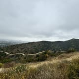 Runyon Canyon Trail, California - 7,935 Reviews, Map | AllTrails