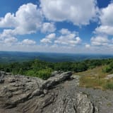 Buffalo Mountain Trail, Virginia - 758 Reviews, Map | AllTrails