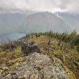 Mount Rose Trail, Washington - 1,356 Reviews, Map | AllTrails