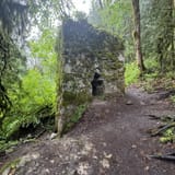 Lime Kiln Trail, Washington - 2,841 Reviews, Map | AllTrails