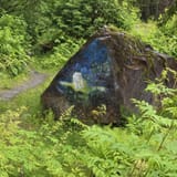 Rushbrook Trail, British Columbia, Canada - 158 Reviews, Map | AllTrails