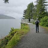 Rushbrook Trail, British Columbia, Canada - 158 Reviews, Map | AllTrails