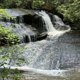 Cat Gap Loop Trail, North Carolina - 746 Reviews, Map | AllTrails