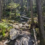Killington Peak via Bucklin Trail, Vermont - 1,898 Reviews, Map | AllTrails