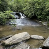 Cat Gap Loop Trail, North Carolina - 746 Reviews, Map | AllTrails