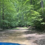 Pickwick Island Loop Trail, Tennessee - 228 Reviews, Map | AllTrails